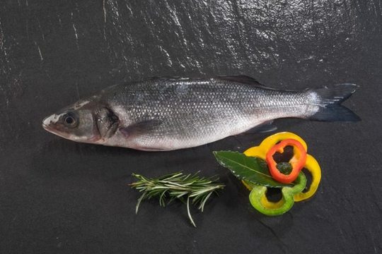 Robalo | Paladar de Sal - Distribuição Produtos Alimentares em Portugal